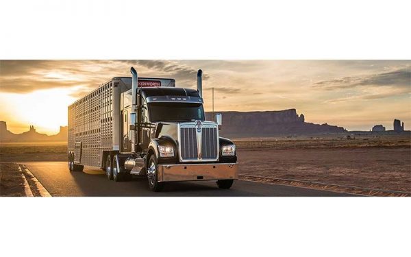 Kenworth W990 for Sale | W990 - kenworth sales co